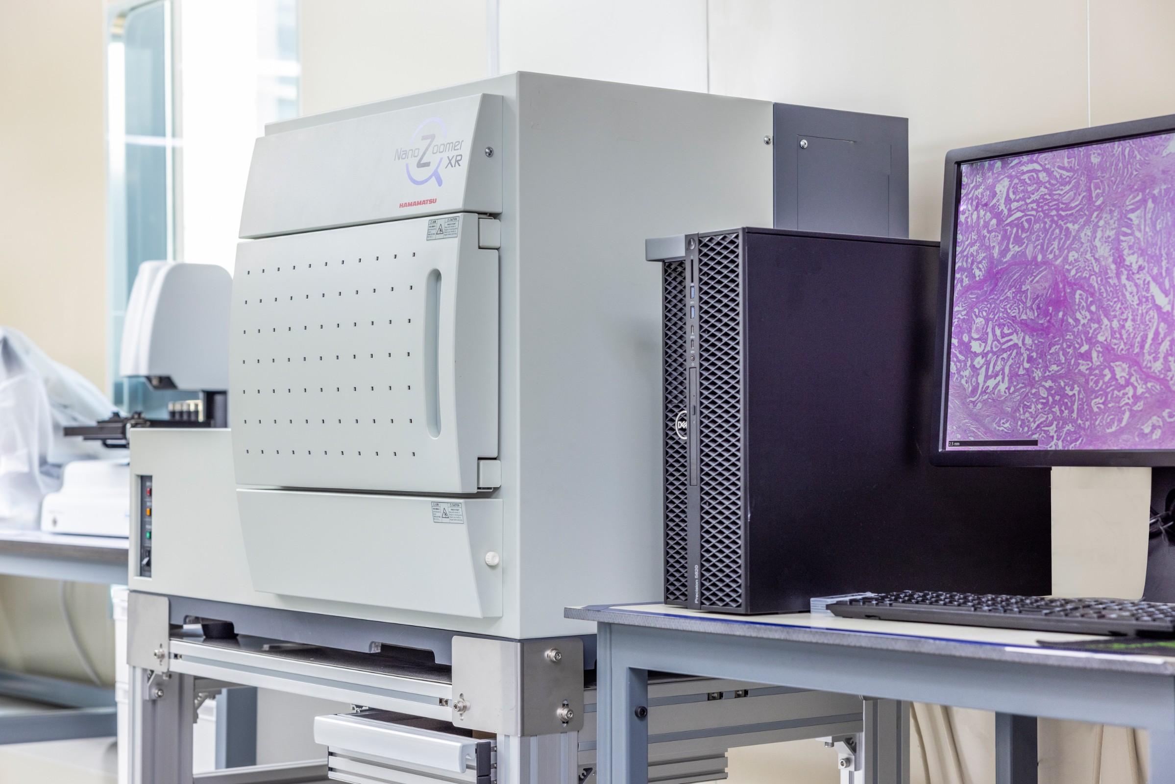 About Us - Genecast Group Inc.